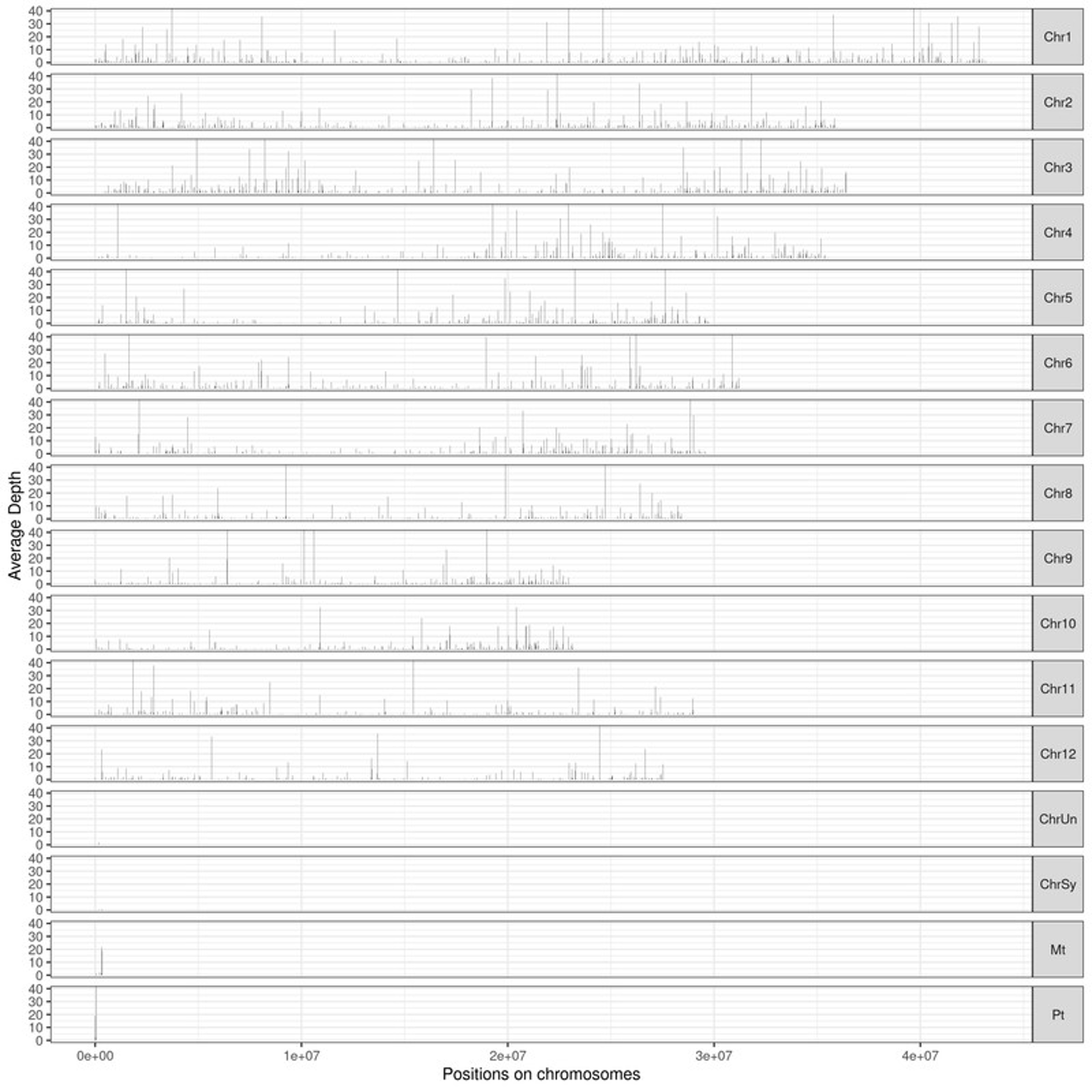 ac4C acRIP-seq：抗体法鉴定全转录组的ac4C修饰位点-广州新蓝基因 专注表观测序服务