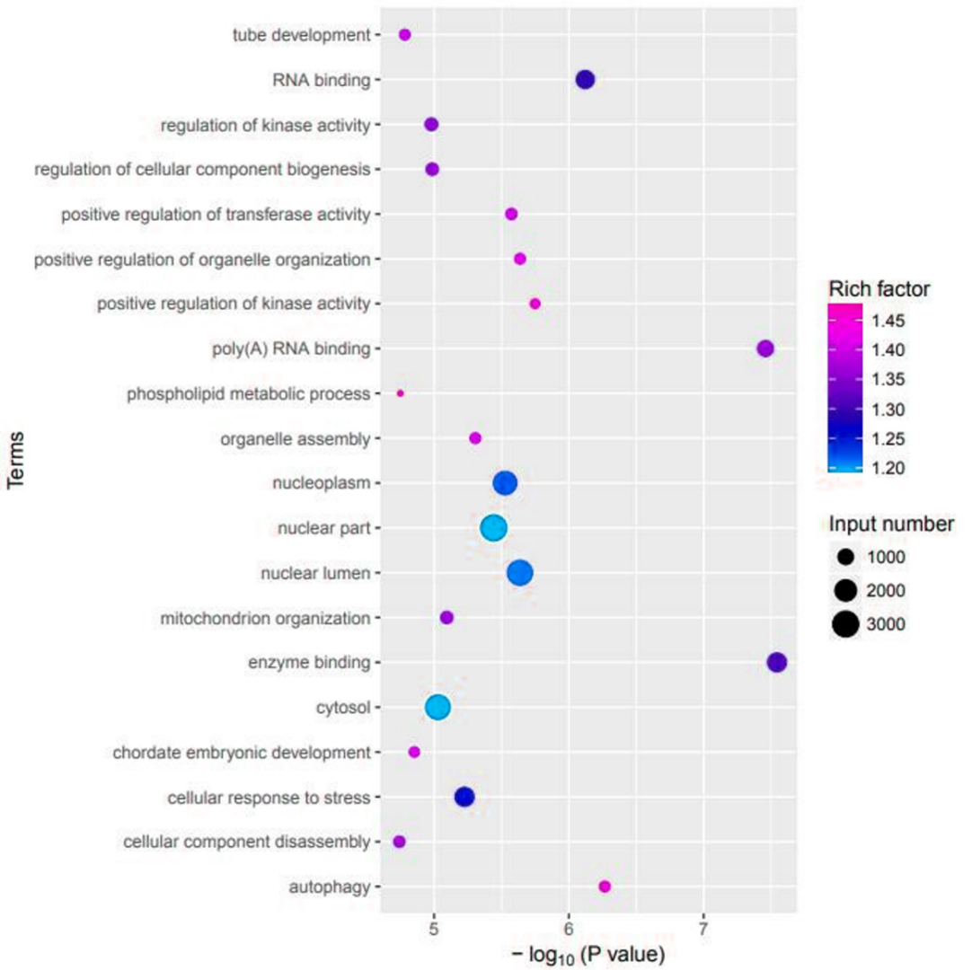 CAGE-seq：绘制转录起始位点的高精度图谱，解析基因表达调控的重要工具-广州新蓝基因 专注表观测序服务
